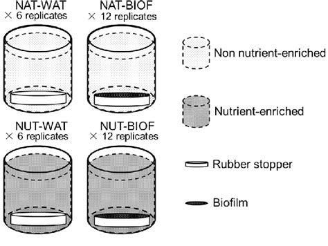 Scheme Of The Experimental Design Download Scientific Diagram