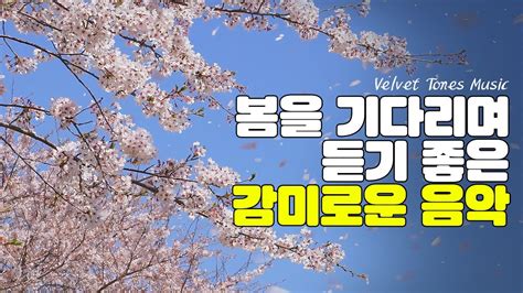 𝐏𝐥𝐚𝐲𝐥𝐢𝐬𝐭 봄을 기다리며 듣기 좋은 감미로운 음악 1시간 연속 재생 ☕🎶 힐링 카페음악 봄 연주곡 Youtube