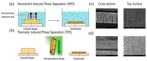 Green Approaches For Sustainable Development Of Liquid Separation Membrane
