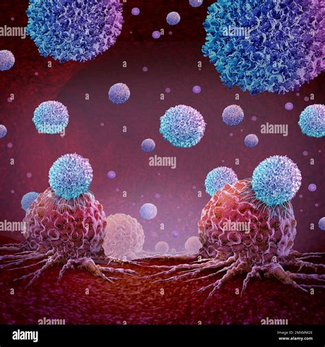 Immune Cancer Therapy Or Immunology Treatment And Oncology Symbol As