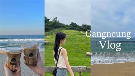 Vlog 강릉 여행 브이로그🏝️ 강릉 핫플 뿌시기👊🏻 1박 2일 여행 N번째 강릉 짜릿해 맛집 추천 동화가든