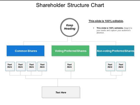 Shareholder Structure Chart Powerpoint Templates Backgrounds Template Ppt Graphics