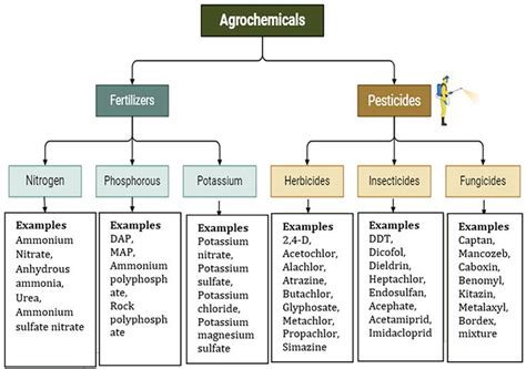 Soil Contamination Risk Assessment And Remediation Intechopen