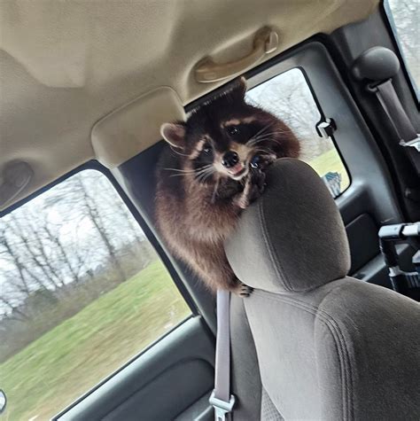 Gary Michael Ferrell