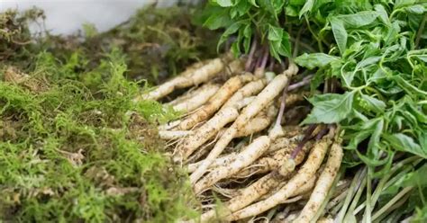 Boost Your Libido Proven Ways To Increase Male Sex Drive