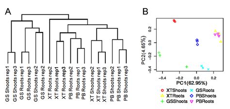 Comparative Transcriptomics Characterized The Distinct Biosynthetic Abilities Of Terpenoid And