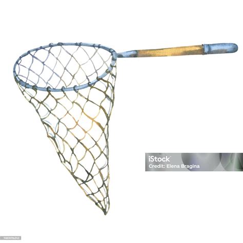 물고기와 나비를 잡기 위한 어망 하얀 배경에 고립되어 있다 수채화 손으로 그린 그림 스케치 곤충에 대한 스톡 벡터 아트 및 기타 이미지 Istock