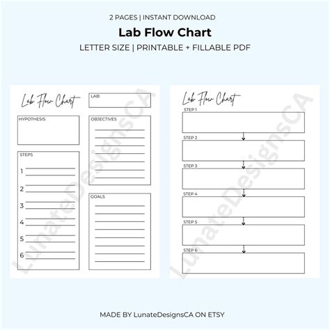 Science Lab Flow Chart School Flow Chart Biology Nursing Kinesiology