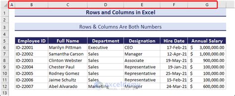 Rows And Columns In Excel All You Need To Know Exceldemy