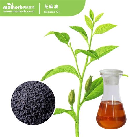 芝麻油 美禾植物提取