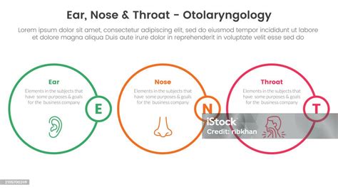 이비인후과 건강 치료 질병 인포 그래픽 슬라이드 프레젠테이션을 위한 수평 윤곽선 원이 있는 3점 단계 템플릿 건강관리와 의술에 대한 스톡 벡터 아트 및 기타 이미지 Istock