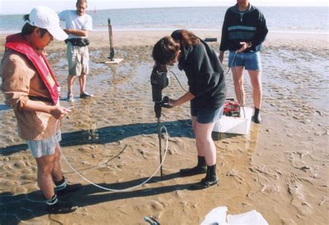 Porewater Sampling In Some Tidal Mudflats Obtaining Porewater From A Sediment Which Does Not
