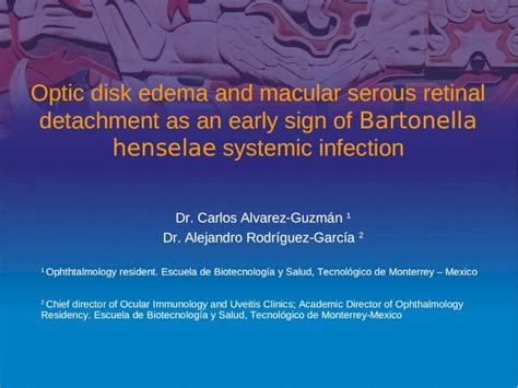 Ppt Optic Disk Edema And Macular Serous Retinal Detachment As An