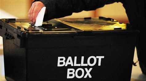 Nine Candidates Vie For Clacton By Election Including Fox Costume And