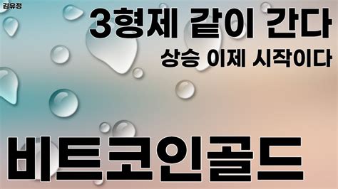 비트코인골드 상승 이제 시작일 뿐이다 Youtube