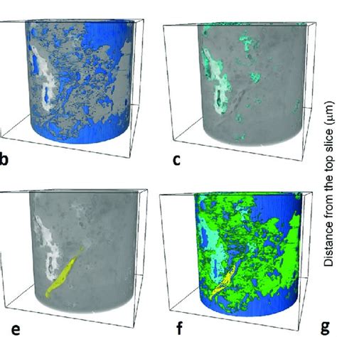 3d Microstructure Of Bor Sample At 100 Nm 1 Mm Scale A Slice View Download Scientific