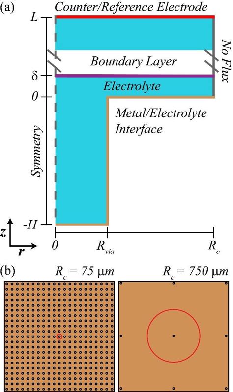 A Schematic Of 2d Axisymmetric Geometry Used In The S Ndr Model To