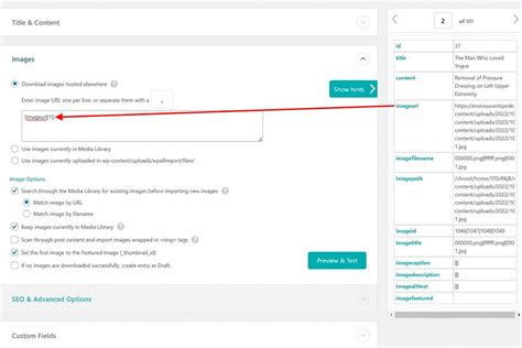 How To Export And Import Images In WordPress With Plugins