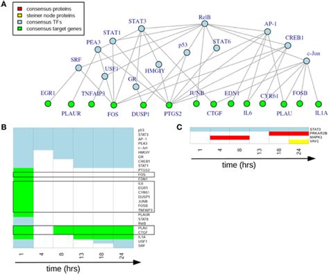 Static Consensus Analysis Results A Static Consensus Graph For Time