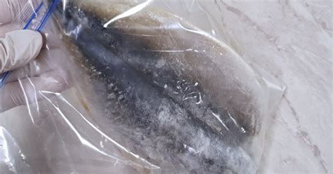 냉동생선 해동없이도 7분 만에 굽는 전문가 비법이 있다고 쏙쏙팁