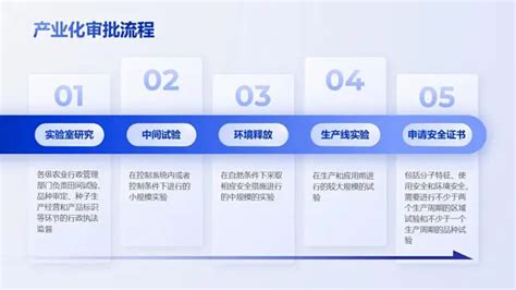 Ppt模板：流程 蓝色五项 花瓣网