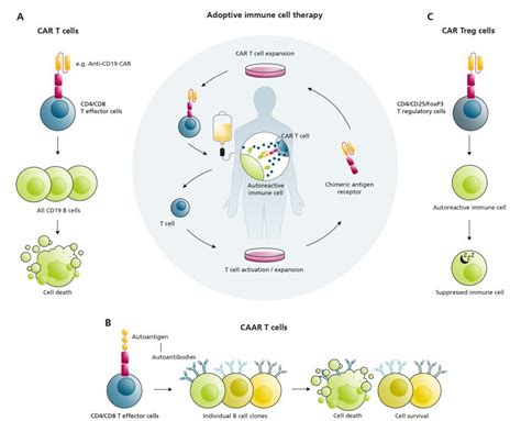 Dr Niraj Mishra Phd Posted On Linkedin