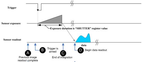 What Is The Timing Of The Dlp Image Display And Camera Trigger Output