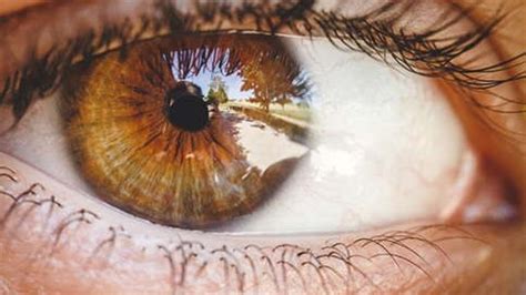 Diagnosing And Treating Corneal Disease