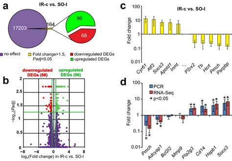 Rna Seq Analysis Of Degs At 24 H After Tmcao In Subcortical Structures Download Scientific