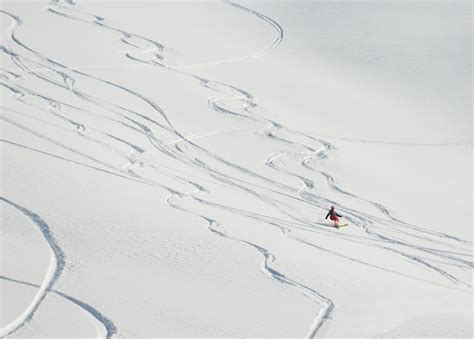 Premium Photo Skier
