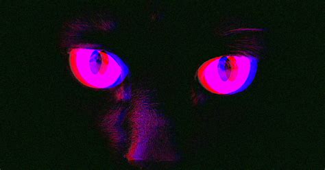 New Quantum Device Can Generate All Possible Futures