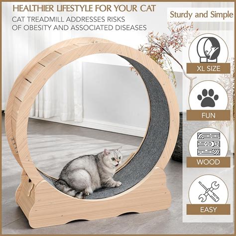 Cat Exercise Wheel Treadmill Review