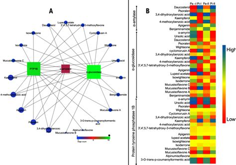 Integration Of In Silico In Vitro And Ex Vivo Pharmacology To Decode