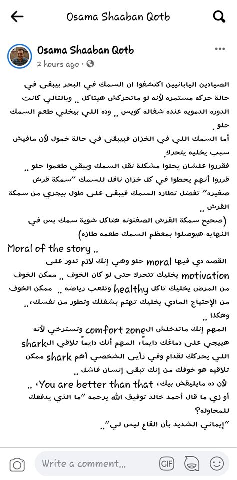 Ayat Negm Eldeen Posted On Linkedin