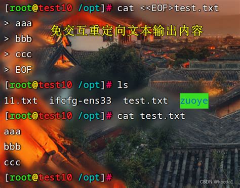 shell之免交互 shell no 1 无交互 csdn博客