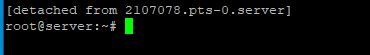 How To Detach And Reattach Screen Sessions RackNerd