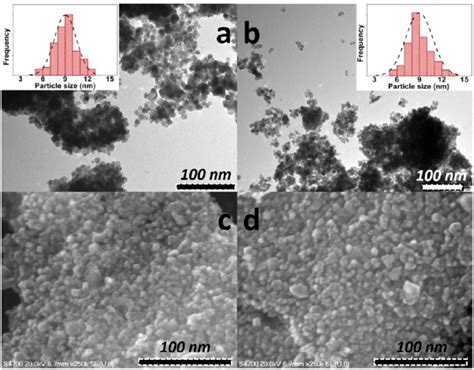 TEM And SEM Images Of Samples A A TEM C SEM And K B TEM D SEM Download Scientific