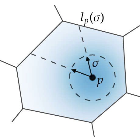 An Illustration Of The Directional Radius Involved In Volume Estimation Download Scientific