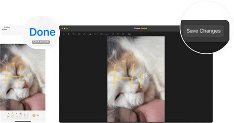 Heres How To Use The Mac Markup Feature