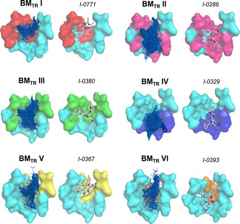 Representation Of The Average Binding Modes Within The Active Site Of