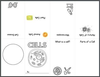 Cell Science Notes Sheet Foldable Page Mini Booklet Fill In Print And Go