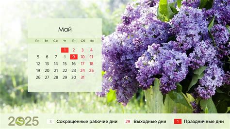 Как отдыхаем в мае 2025 выходные и праздничные дни в России майские календарь