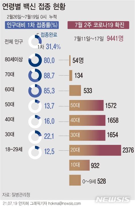 그래픽 연령별 백신 접종 및 코로나19 확진 현황 네이트 뉴스