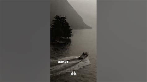 Аудиодекламация Авторское прочтение Нина Орлова стихи актив поэзия эфир любовь стих т