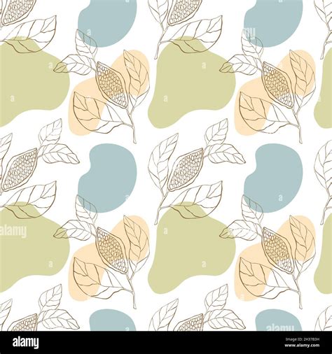 Pattern Cocoa Hand Drawing Contour And Stains Abstract Background White Background Vector