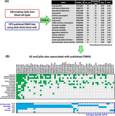 Smcpgs Are Enriched Among Blood Epigenome Wide Association Study Ewas