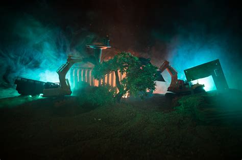 숲 삼림 벌채가 고 굴 삭 기 숲 제거 후 나무 젊고 아름 다운 여자와 뿌리를 발굴 하는 데 사용 어두운 톤의 안개 테이블 장식으로 개념 갈고리 발톱에 대한 스톡 사진 및