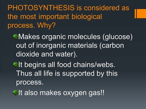 Chapter 5 Photosynthesis Stages And Growth Ppt