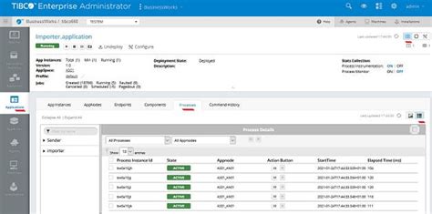 Bw 6x How To Monitor Process Activity In Businessworks 6x Businessworks Tibco Community