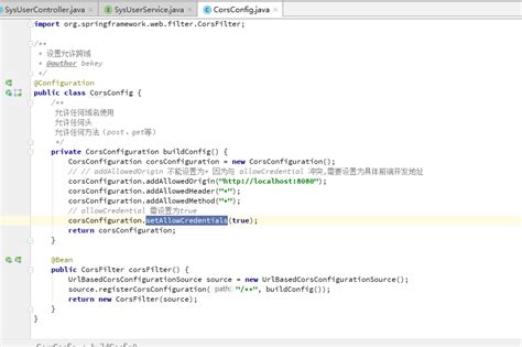 跨域问题 Cors 双间 博客园